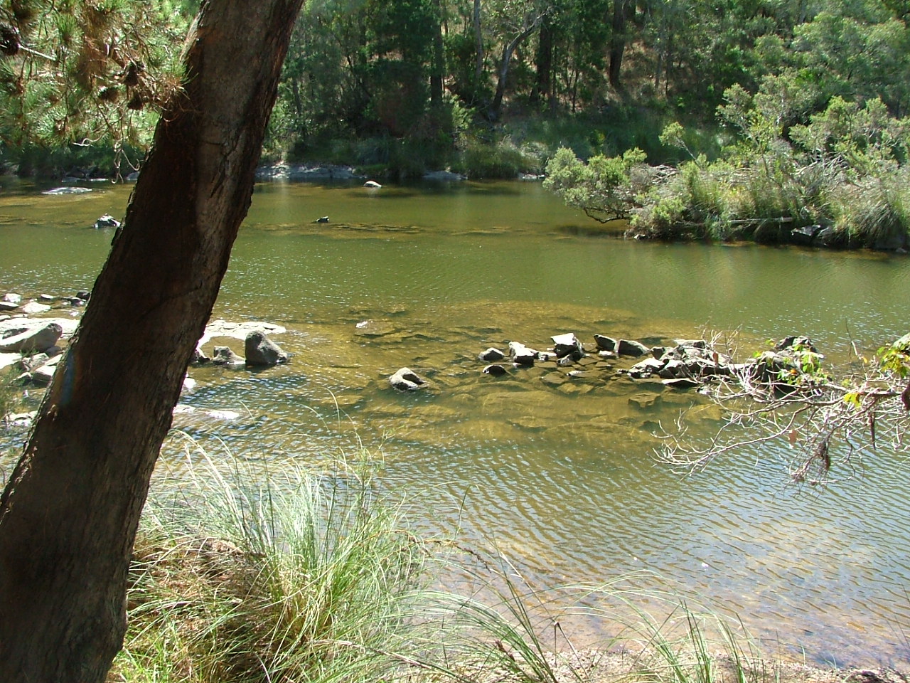 Stone Fish Trap Rediscovered – National Trust