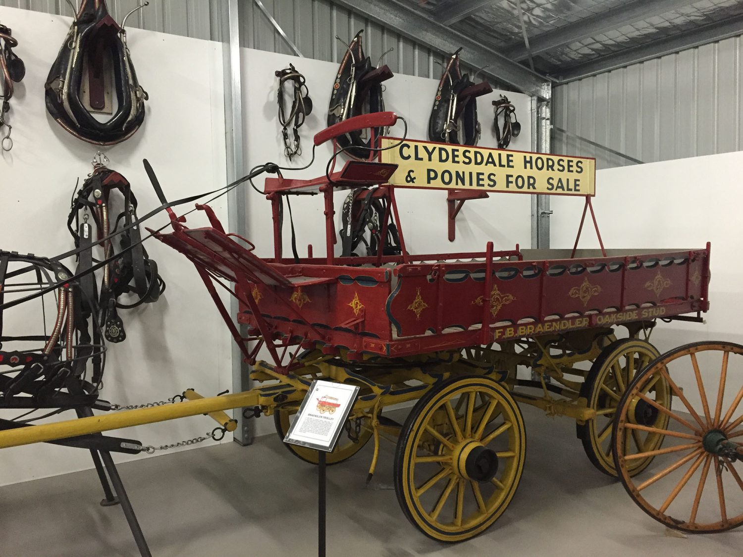 Millicent Museum – National Trust