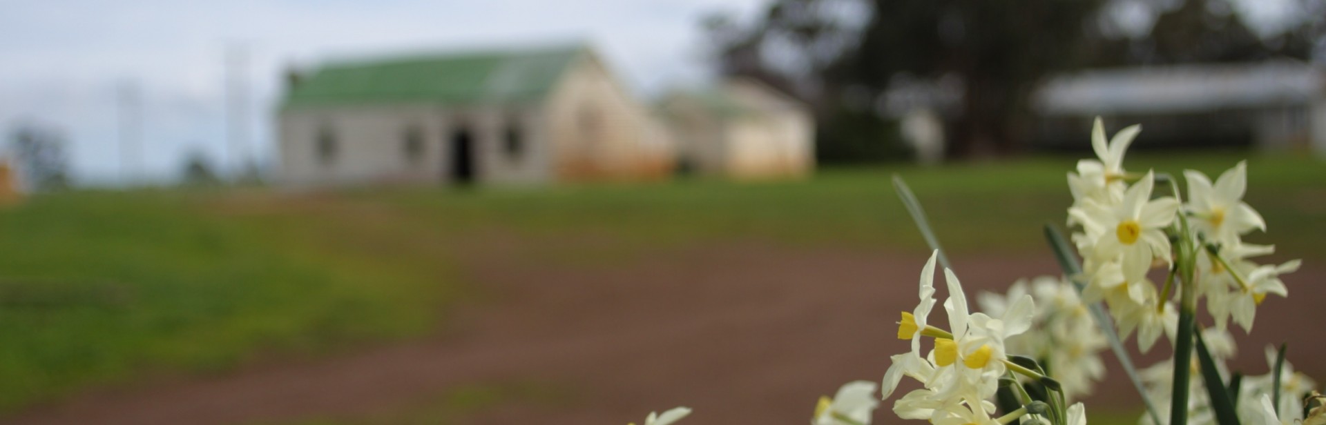 Mooramong – National Trust