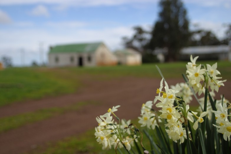 Mooramong – National Trust