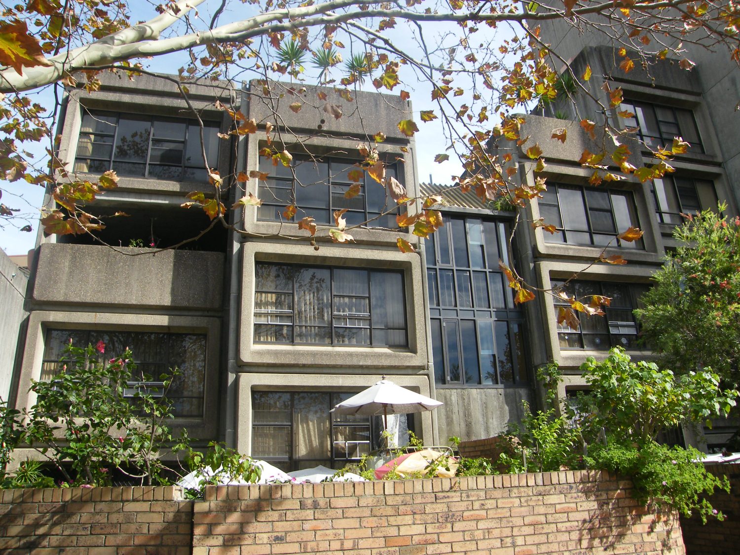 The Rocks World Heritage Under Threat – National Trust