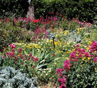 Mooramong – National Trust