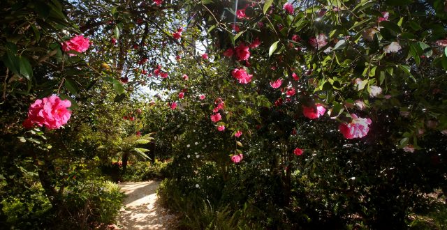Venue Hire – National Trust