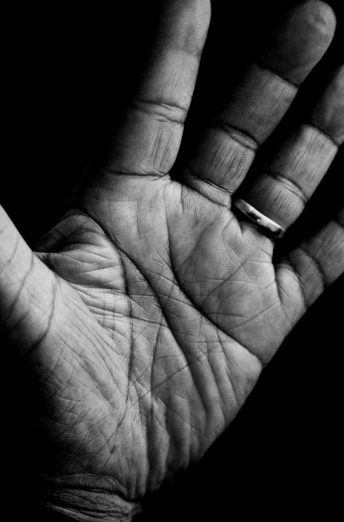 Matthew Willman perspective on white rhinos and Nelson Mandela