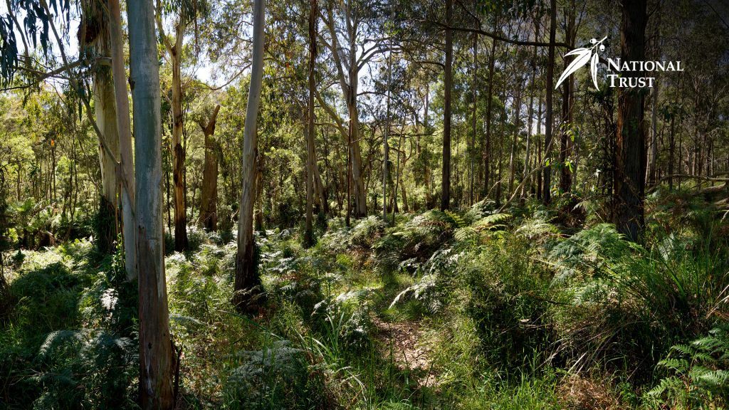 Zoom Backgrounds – National Trust