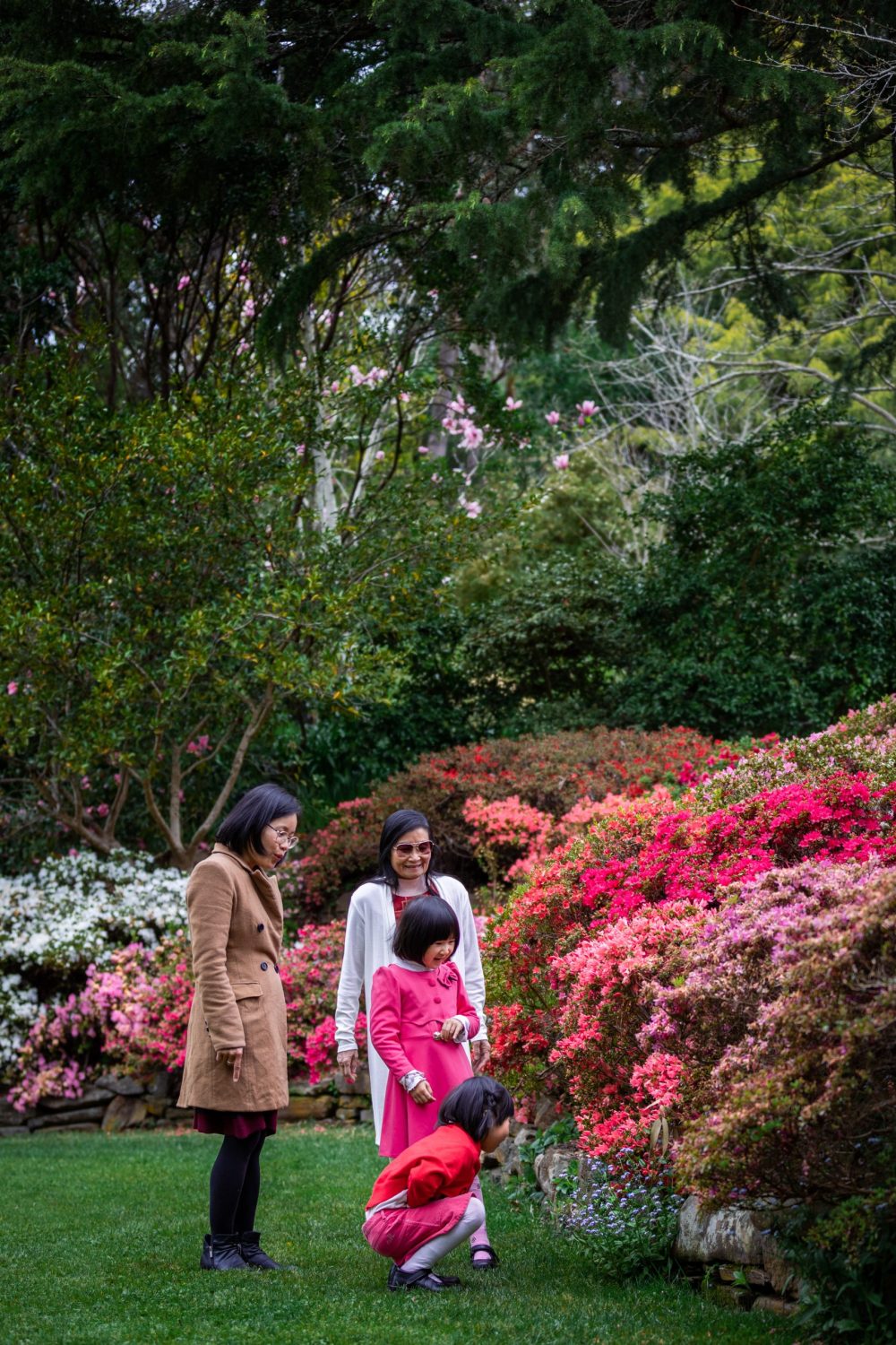 Open Days at Stangate Garden – National Trust