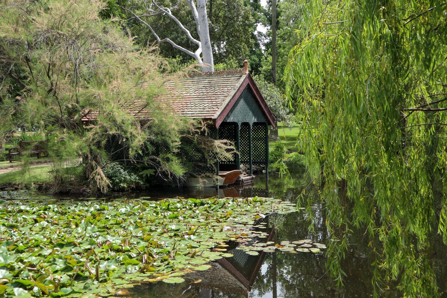 Significant Trees of Rippon Lea – National Trust