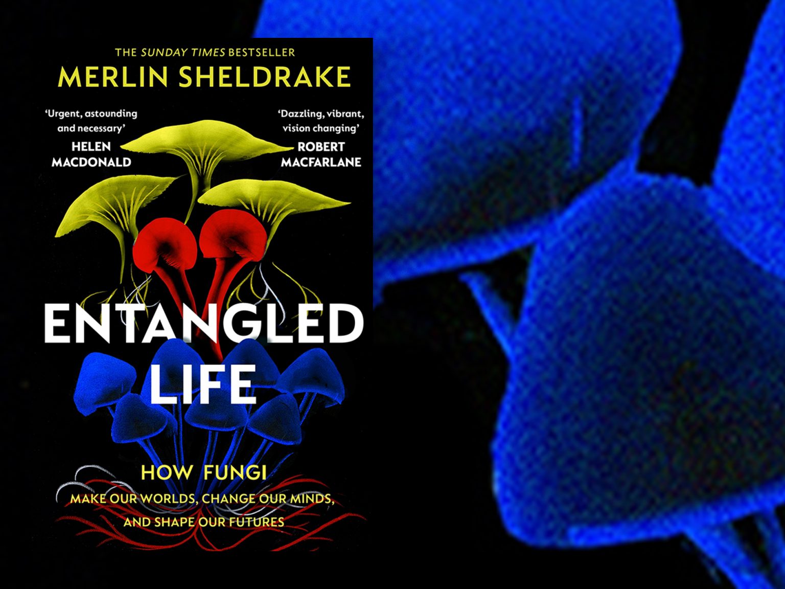 Our latest book reviews – National Trust