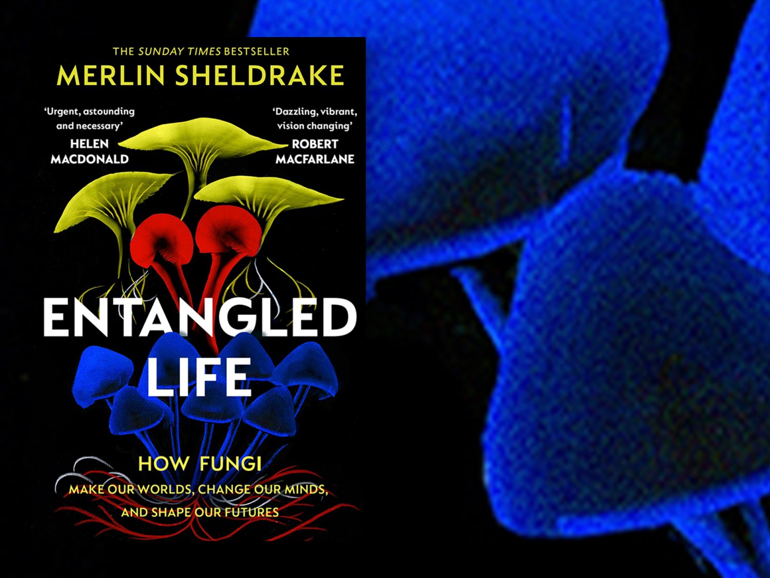 Our latest book reviews – National Trust