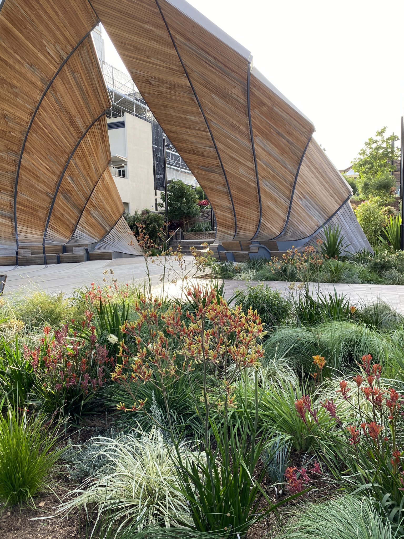 Bush Heritage – Our Shared Legacy – National Trust