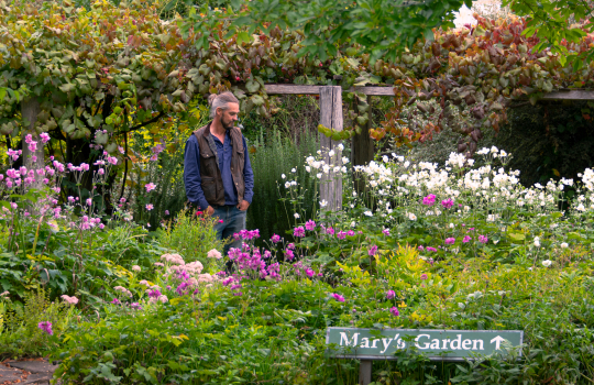 What’s on at the National Trust in New South Wales – National Trust