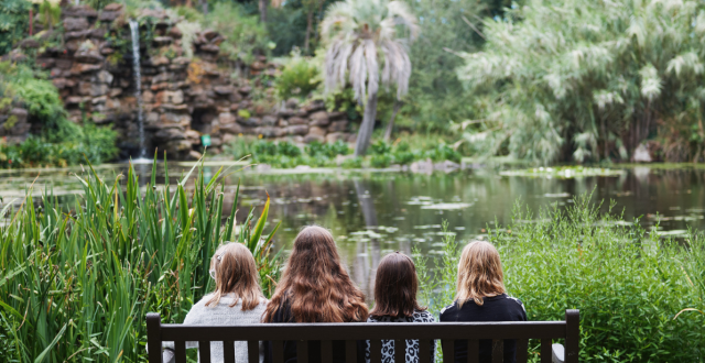 McCrae Homestead – National Trust