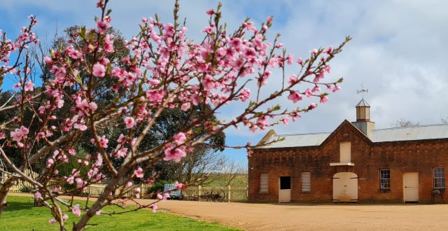 Cooma Cottage, Yass – National Trust