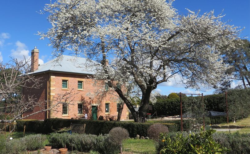 The best gardens to visit this spring – National Trust