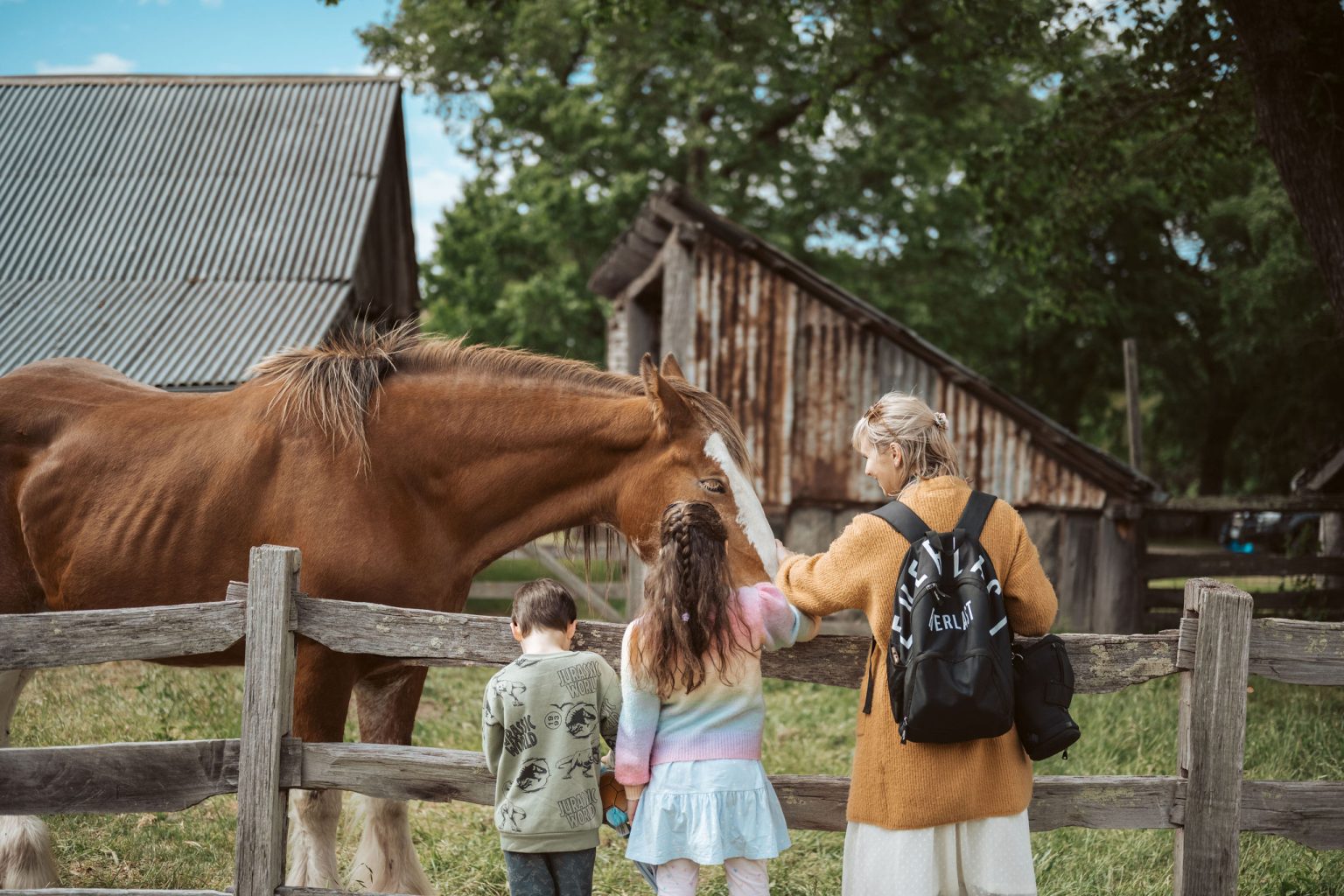 Top 5 Activities for Your Summer Bucket List – National Trust
