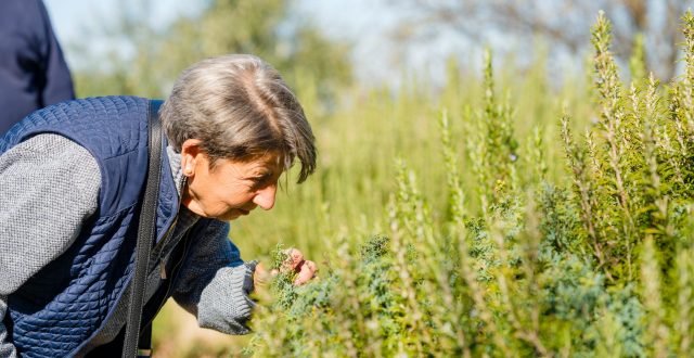 Cooma Cottage, Yass – National Trust