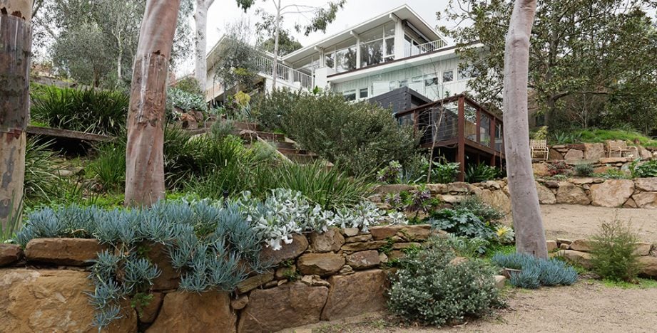 How to create a thriving native garden – National Trust