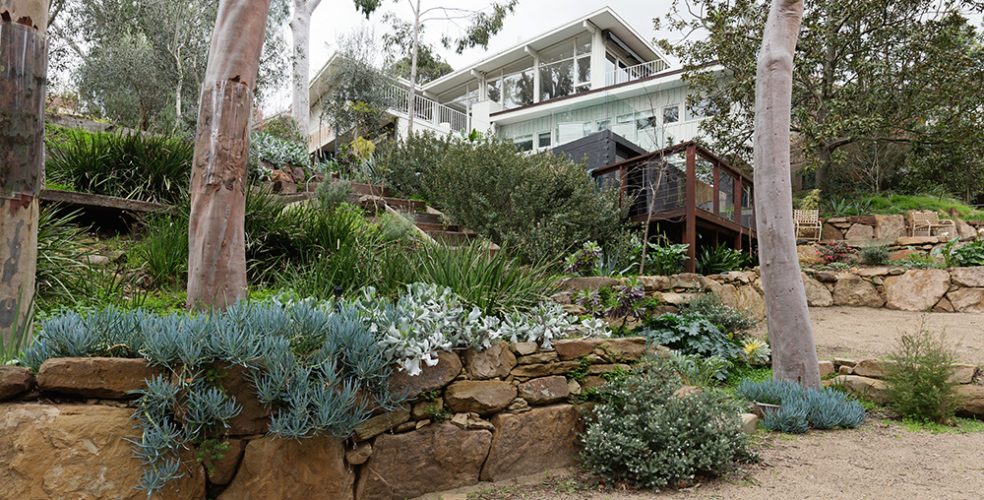 How to create a thriving native garden – National Trust