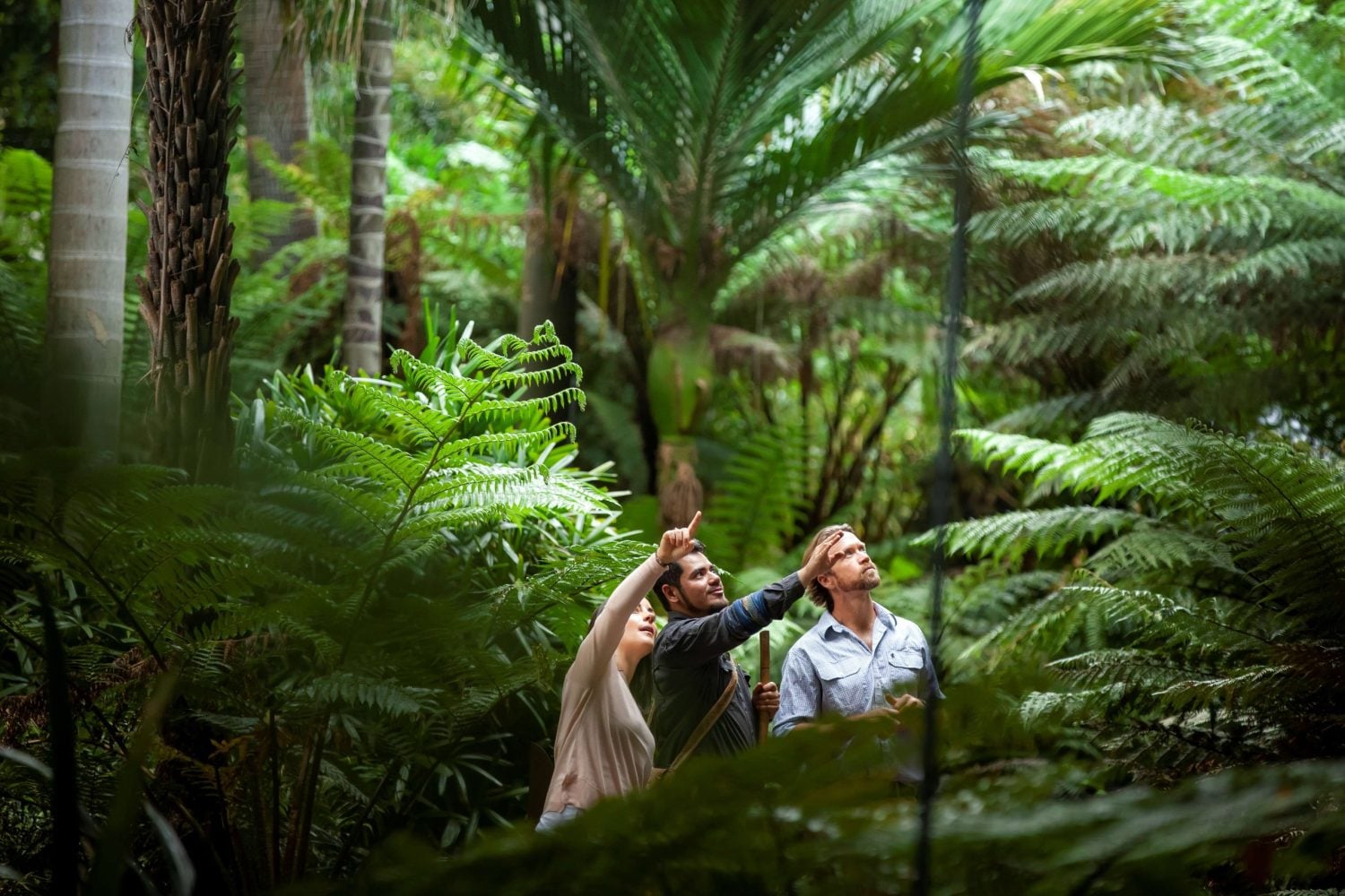 Five best events to explore stunning Natural Landscapes – National Trust