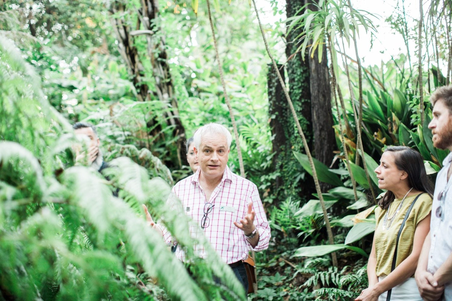 Significant Trees of Rippon Lea – a walking tour – National Trust