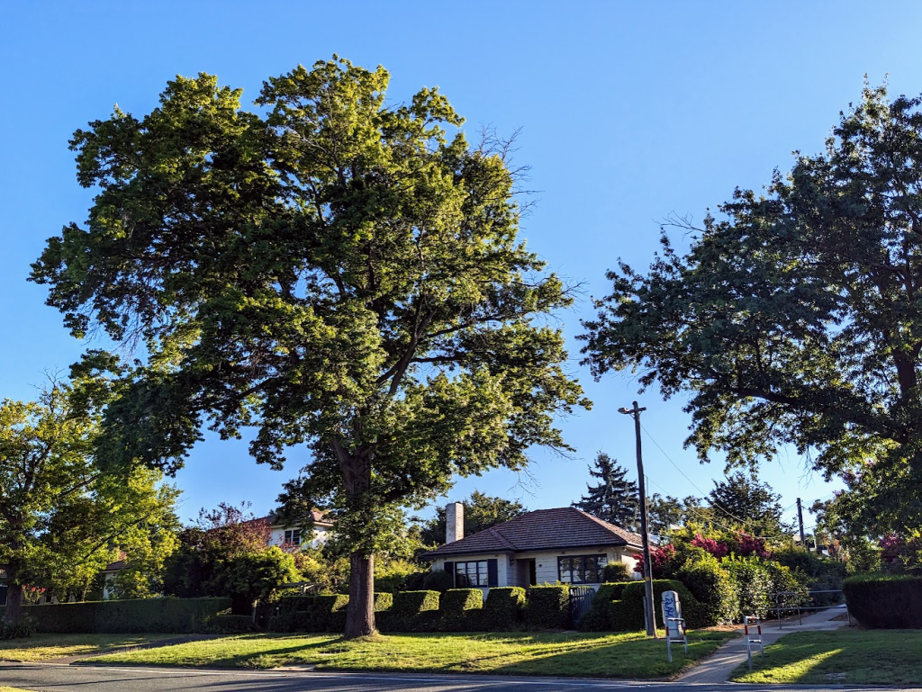 Modernism and Canberra Red Brick in Griffith (REPEAT) – National Trust