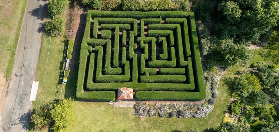 The young ones: 50 things your kids will love at the National Trust