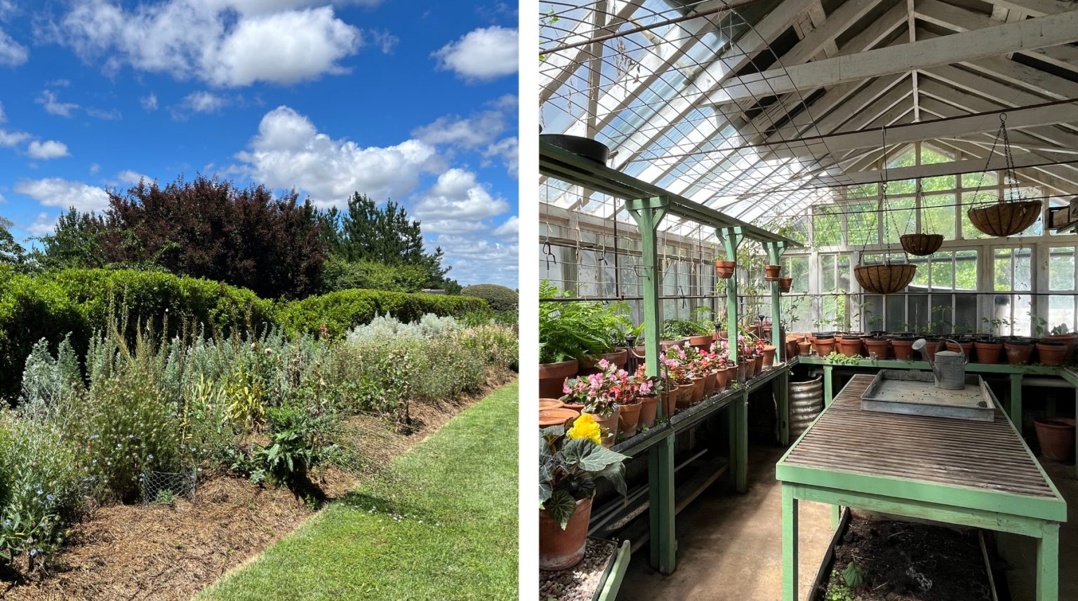 A sustainable future for Saumarez Homestead – National Trust