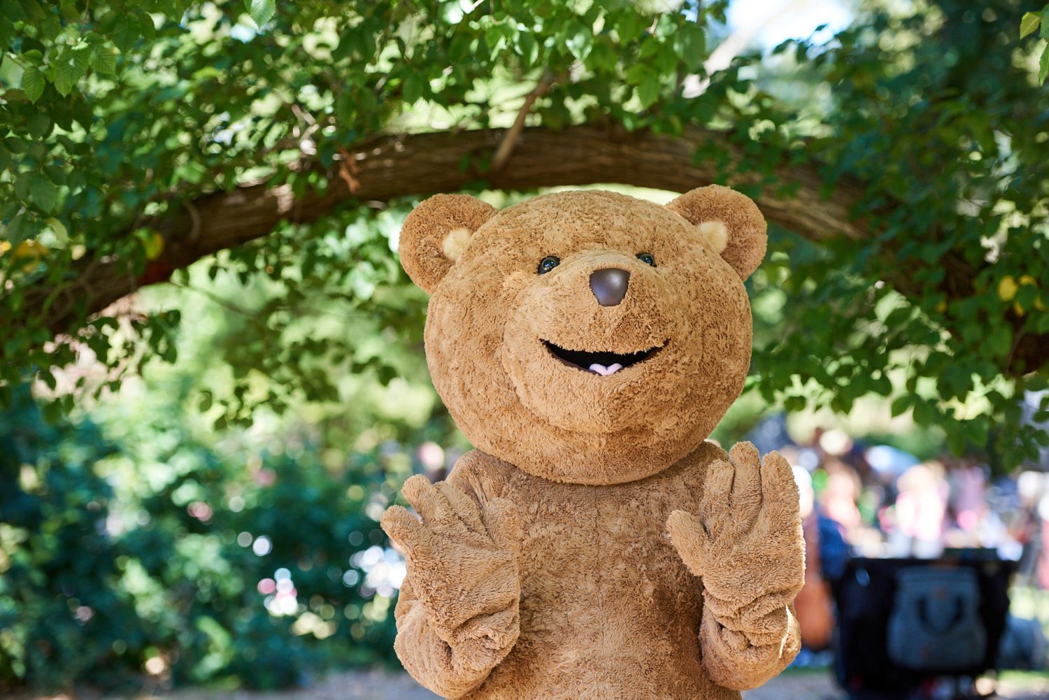 Cancelled | The Teddy Bears’ Picnic – National Trust