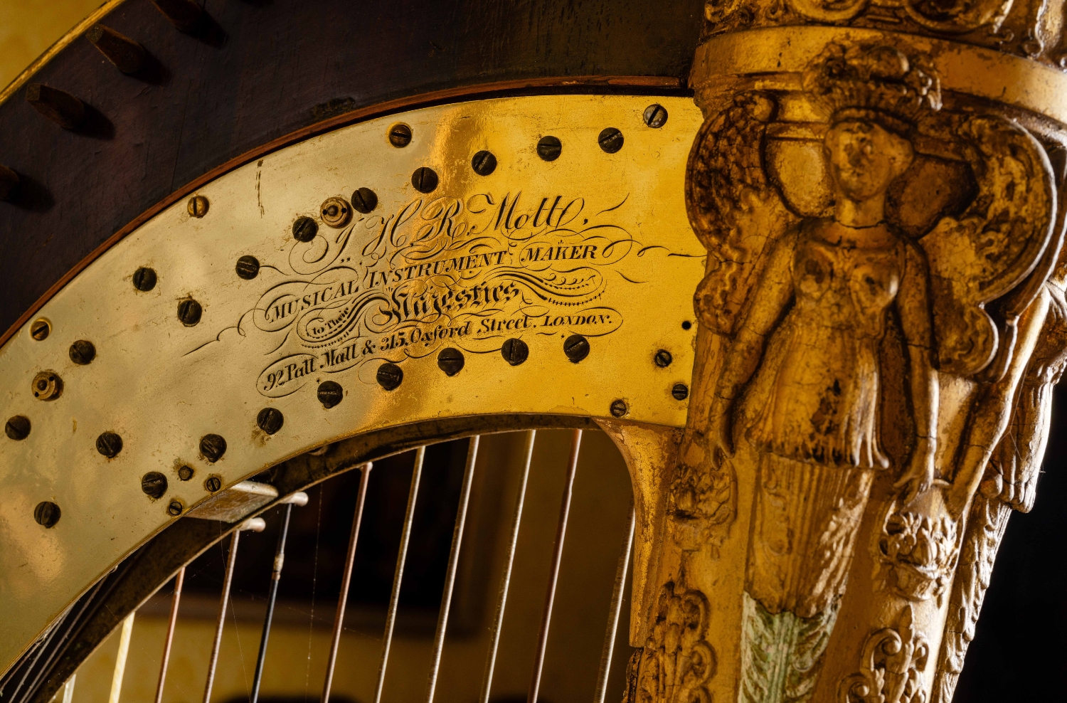 The 2024 Collections Appeal – National Trust