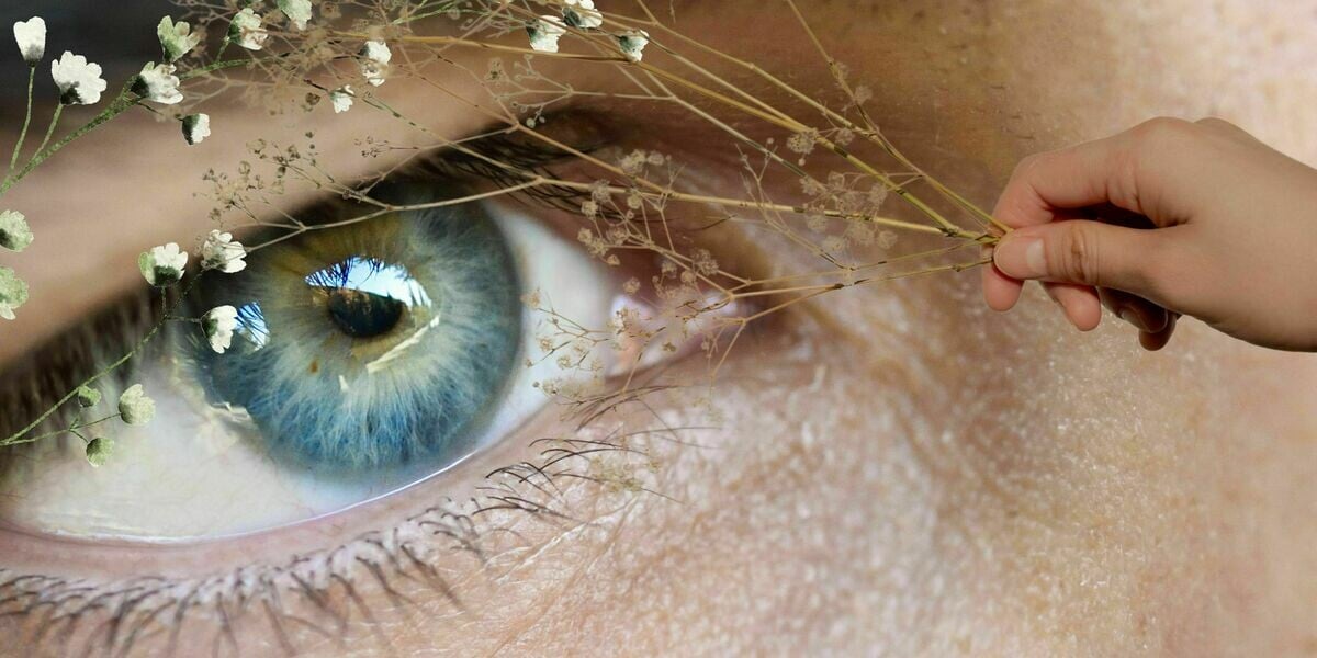 Adelaide Fringe: Between Breath and Bard – National Trust