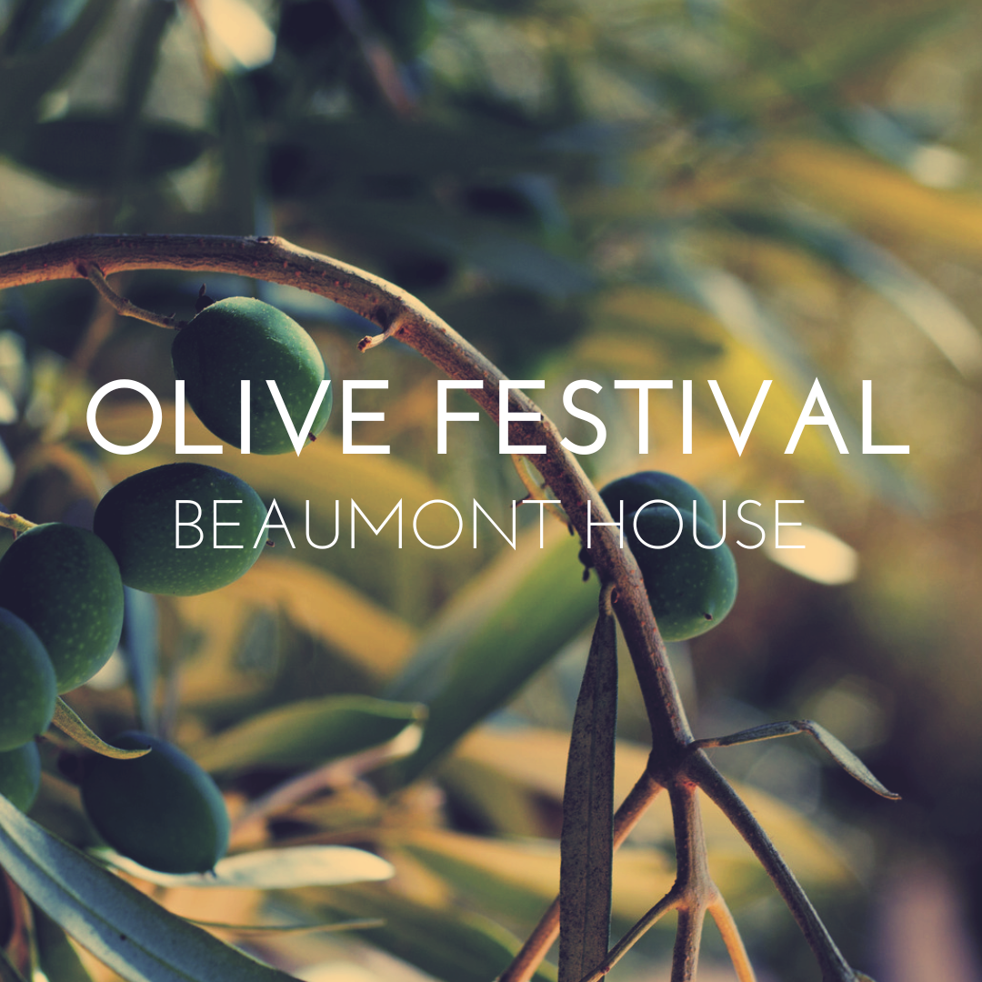 Olive Festival – National Trust