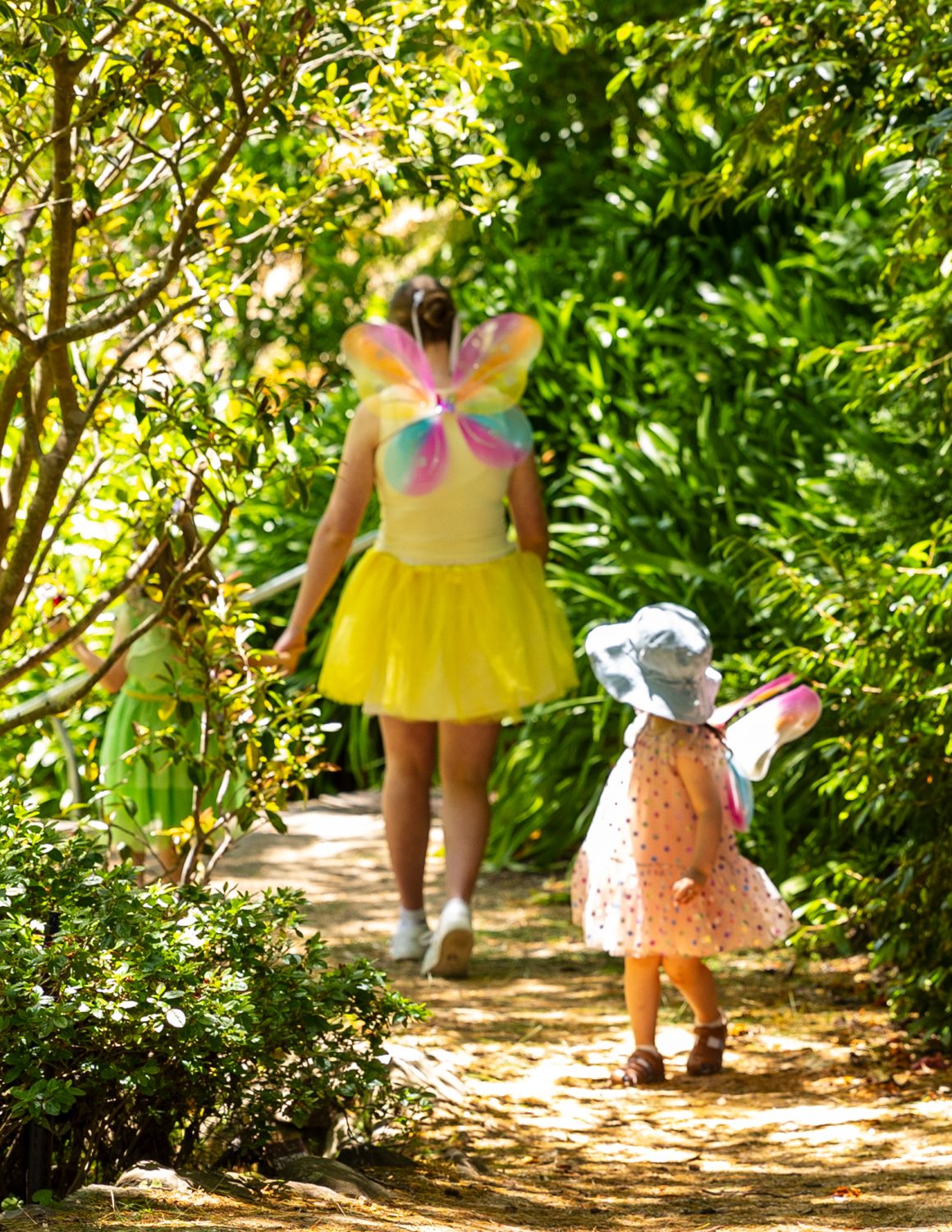 Fairy & Elf Picnic – National Trust