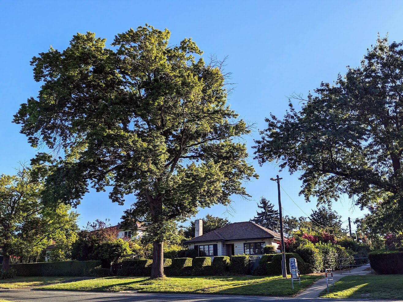 Griffith - houses and garden city landscaping – National Trust